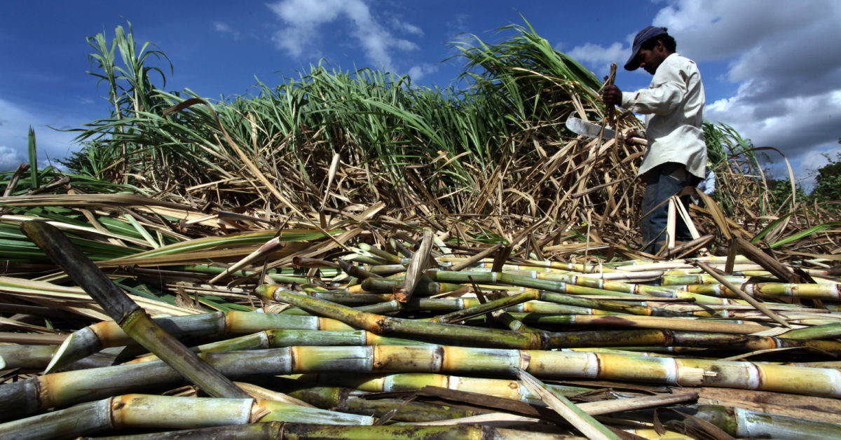 Uganda set to export 20,000 Metric tonnes of Sugar to Tanzania as ...
